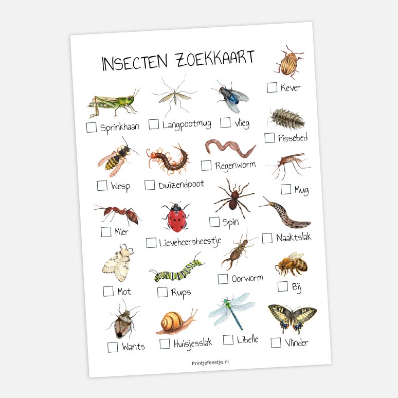 Insecten zoekkaart - Print je Feestje